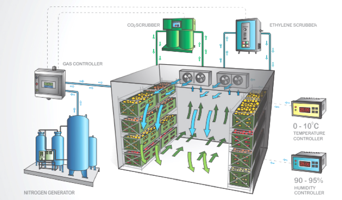 COSCO SHIPPING Lines